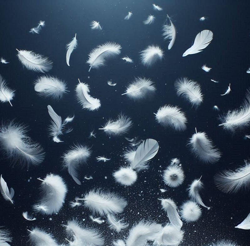 Down Bedding | by Daniadown Home